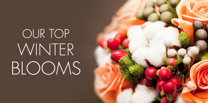 Elegant Winter Blooms - Kitty's Flowers