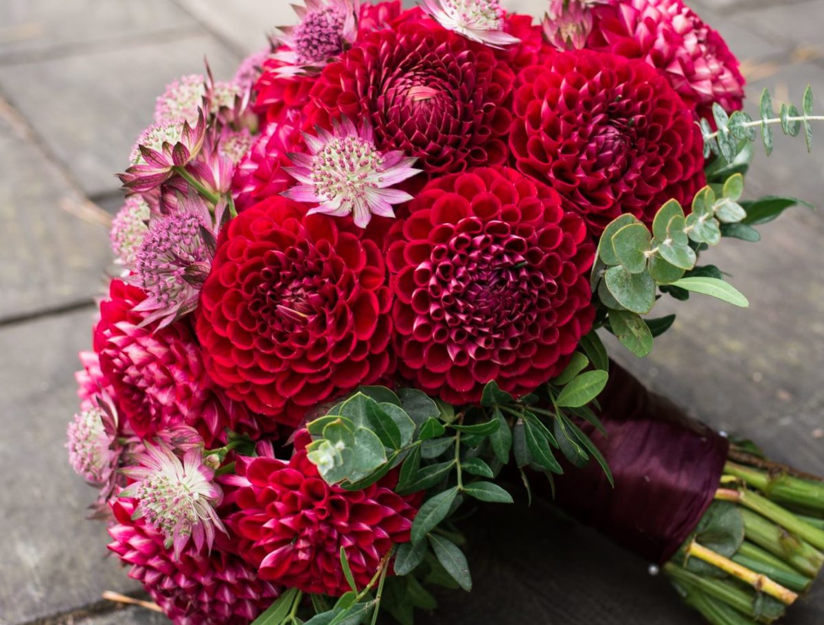 Get Excited for Halloween with Spooky Flowers and Gifts - Kitty's Flowers