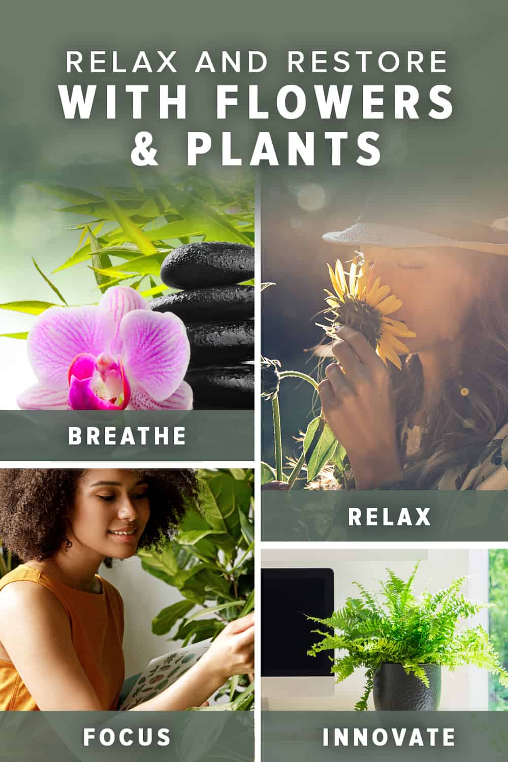 9 Health-Boosting Truths About Flowers & Plants That Will Surprise You ...
