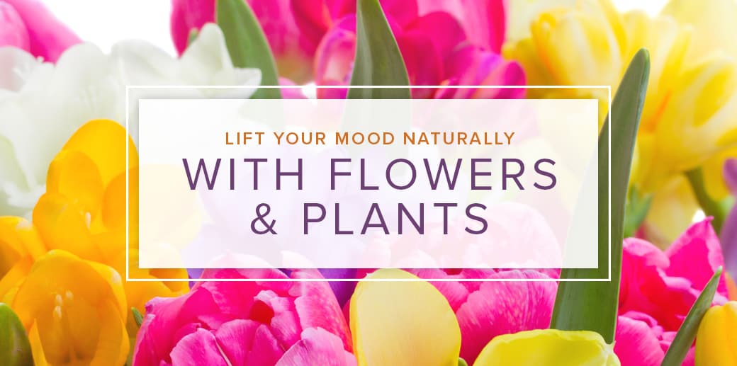 A Clean Home + Fresh Flowers = The Ultimate Spring Energy Shift - Kitty ...