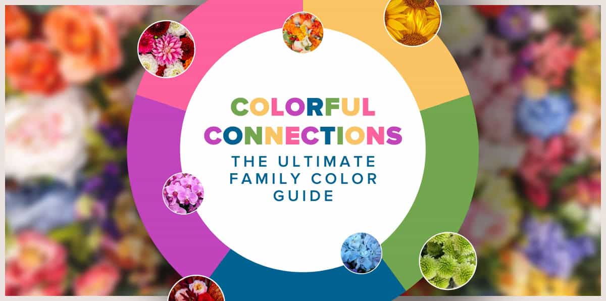 Sending Love to Family with Flowers: A Guide to the Perfect Color ...